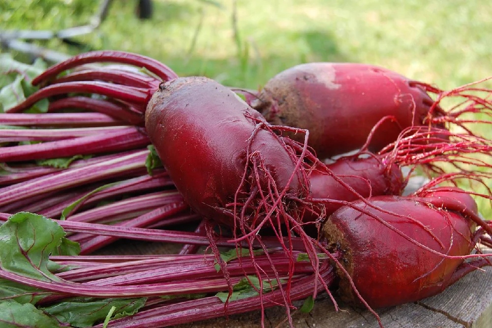 Jakmile potřebuji detoxikaci těla, sáhnu po této surovině: Doma ji má ...