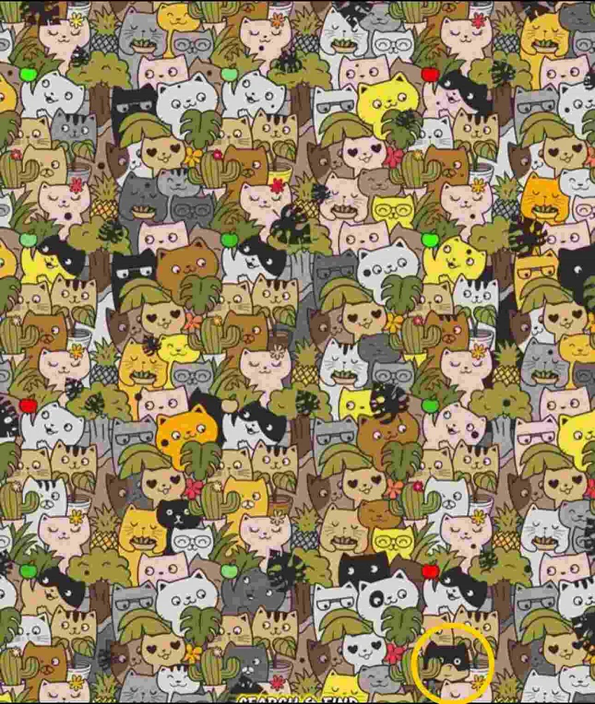 Temný rytíř mezi kočkami. Najít Batmana v optické iluzi plné koček zvládlo jen 6 % lidí