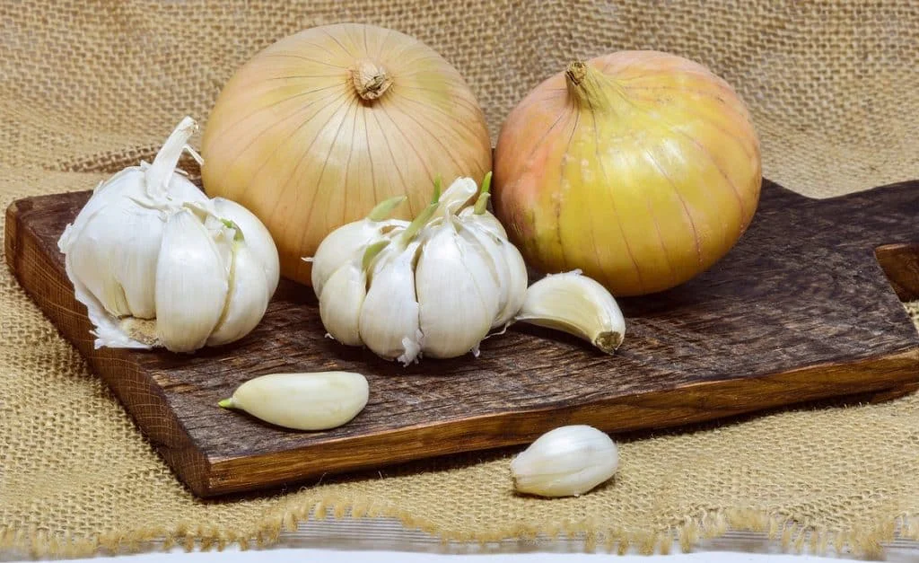 Česnek v plastové lahvi na balkóně chutná stonásobně lépe než kupovaný ...